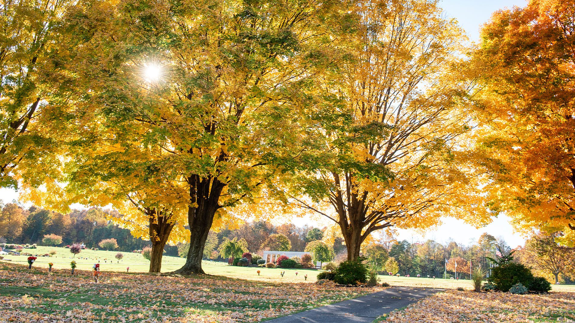 Our Response to the Proposed Blair County Prison Project | Alto-Reste Park